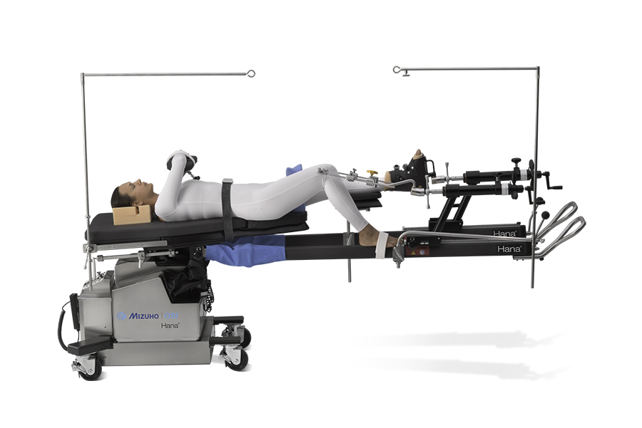 Hana® - Mizuho OSIMizuho OSI